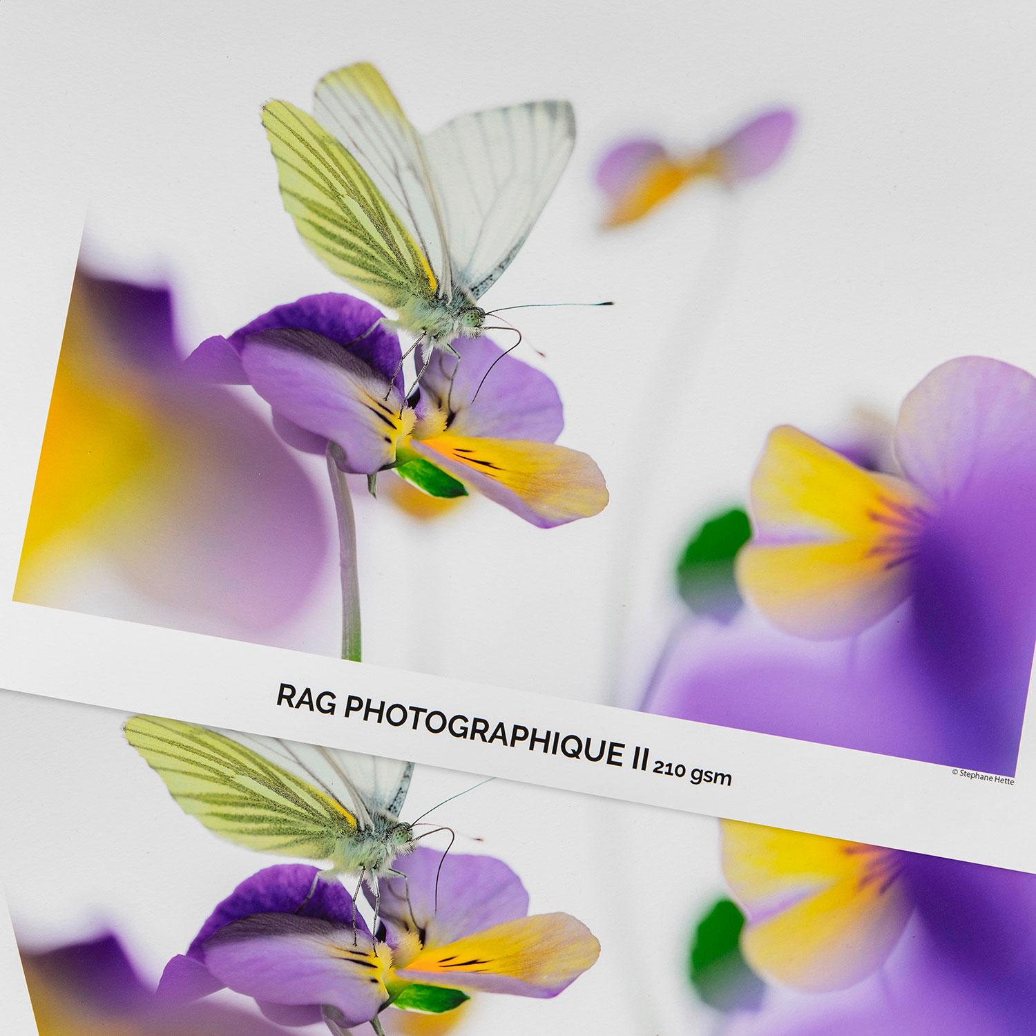 Rag Photographique II | Canson Infinity